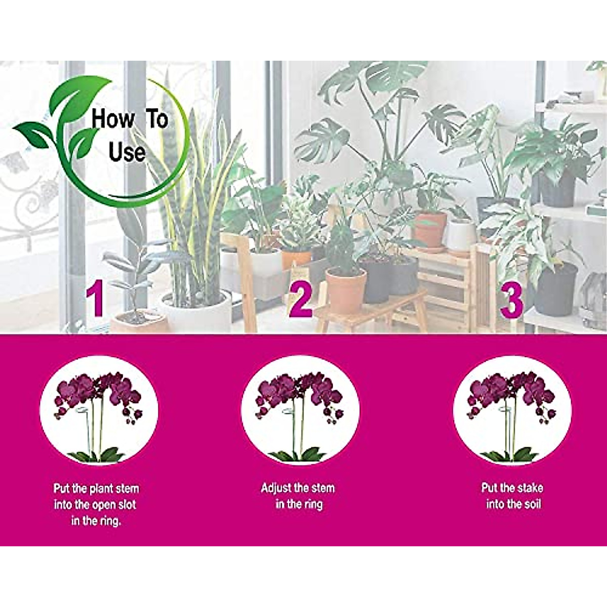 Greenpeas Plant Stake Support - 3-Inch Diameter Steel Support Stands with Green Plastic Coating - Gardening Brace Sticks for Single Stem Flowers, Amaryllis, Tomatoes, Peony, Lily - 16" Tall, 5 Pieces