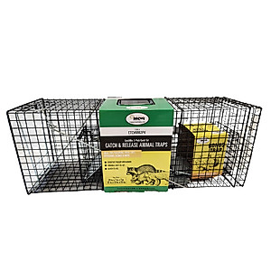 Rugged Ranch CatchMor Live Animal Multi Catch 2 Pack Trap, 1 Large & 1 Small Metal Catch & Release Cage for Raccoons, Opossums, Bunnies, & Squirrels