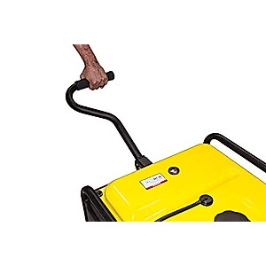 Champion Power Equipment 100520 8750-Watt DH Series Open Frame Inverter, Electric Start