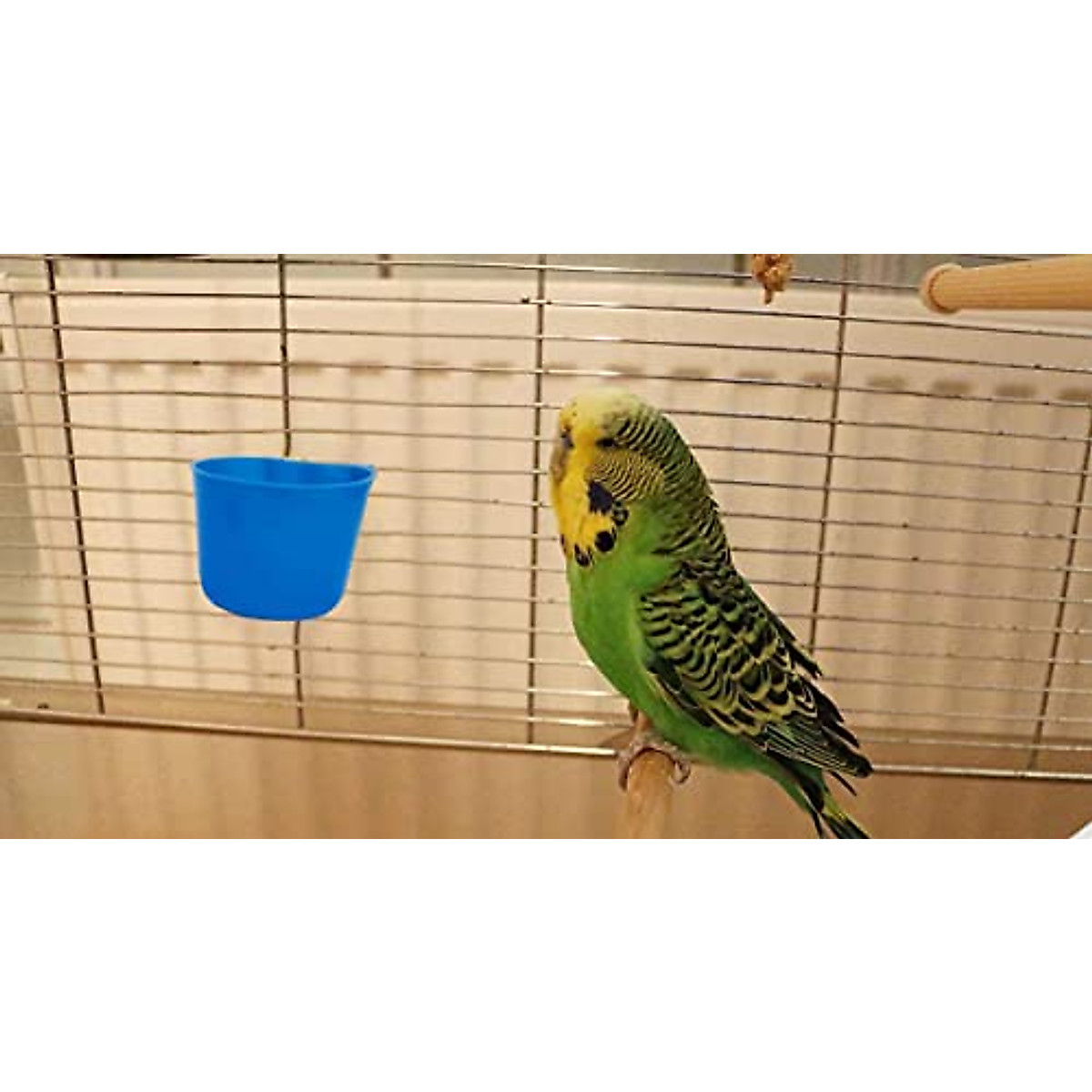 ORIBUKI Pack of 20 Chicken Feeder Cups for Cage Hanging Bird Waterer 8 OZ Rabbit Water Food Bowl Pigeon Feeding Dishes Bunny Poultry Coop Drinker Quail Seed Treats Dispenser Duck Drinking Bottle