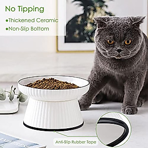 Large Ceramic Elevated Cat Food Bowl,Whisker Friendly Raised Cat Water Bowl,Stress Free Food Feeding Dish,Anti Whisker Fatigue Bowl with Anti-Slip Strip for Cats & Small Dogs,Non Tipping