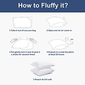 CozyLux Pillows Queen Size Set of 2, Queen Pillows for Sleeping 2 Pack Hotel Quality, Bed Pillows for Side Back and Stomach Sleepers, Down Alternative Luxury Soft Supportive Fluffy Pillows (20x30)