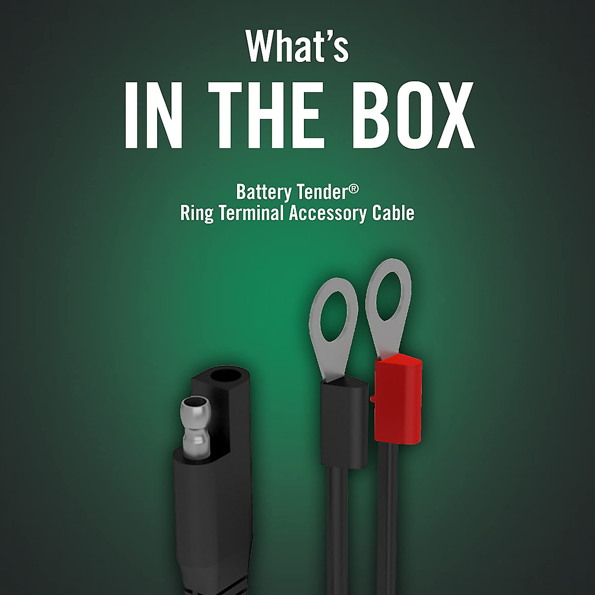 Battery Tender Ring Terminal Harness Accessory Cable - 18 inch Cord Adapter with SAE Quick Disconnect - Easy Quick Convenient for Motorcycles, Cars, ATVs and More - 081-0069-6