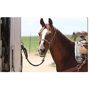 HCLLPS Replace Trailer Tie Loop 2" I.D. Aluminum Bolt-On Lashing Rope Tie Down Ring Horse (2 Pack)