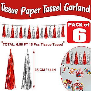 6P Foil Fringe Metallic Tassel Streamers Banner Tassel Garland for Parade Floats, Bachelorette, Wedding, Birthday, Halloween, Christmas, Bridal/Baby Shower Party Decorations (RedSilver)
