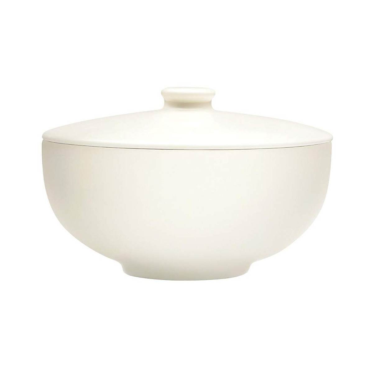 Tiimi Soup Bowl with Lid 27 Oz