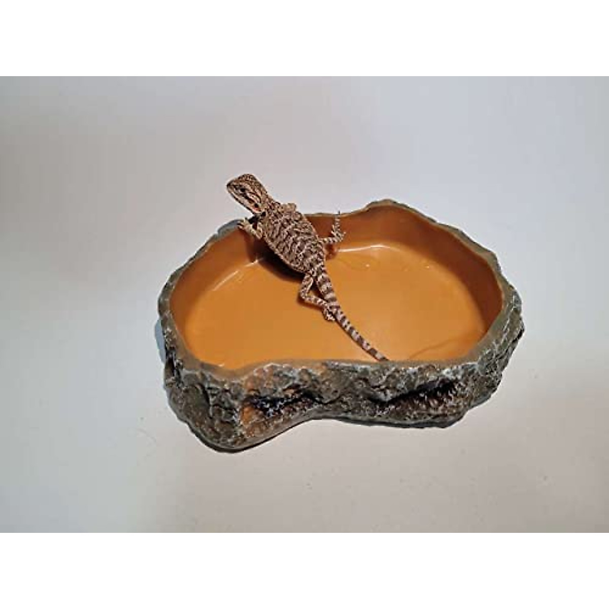 RunXF Simulation Rock Reptile Feeding Bowls Resin Feeder Lizard Toad Tortoise Hedgehog Habitat Accessories Terrarium Tank Ornament Water Food Dish,5.5 x 3.7 x 1.2inches (Medium)