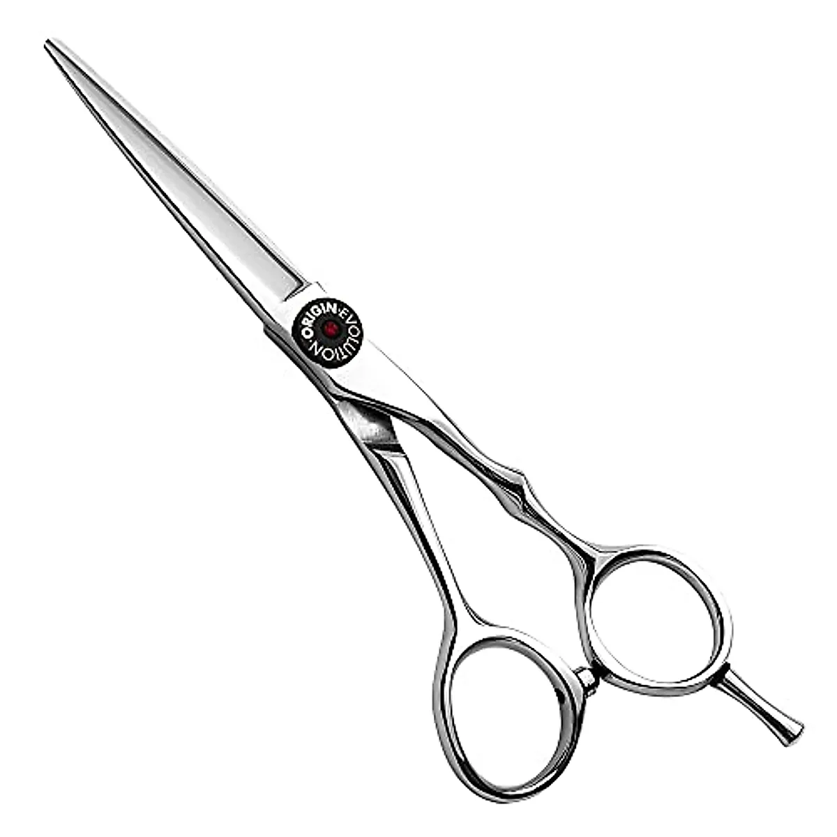 AOLANDUO 6" Hair Cutting Scissor - High End AICHI Steel Handmade Barber Scissors-Razor Edge/Offset Design/Pro Ergonomic for Salon Stylists Beauticians and Barbers… B09B3DT5SD