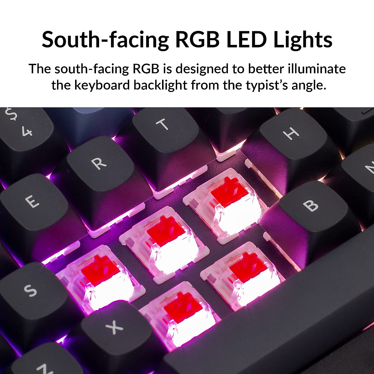 Keychron Q2 Wired Custom Mechanical Keyboard, QMK/VIA Programmable Macro, Full Aluminum, Hot-Swappable Gateron G Pro Red Switch, 65% Layout Double Gasket Compatible with Mac and Windows - Black