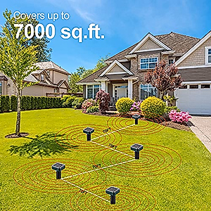 AMIAEDU Mole Repellent Solar Powered 8 Pack, Waterproof Vole Chipmunk Outdoor, Gopher Ultrasonic for Lawn Garden, Groundhog Repeller, Snake