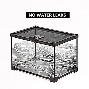 PetWoW 3 Gallon Mini Reptile Glass Tank - 12" x 8" x 8" Full View Natural Terrarium for Reptile, Amphibian, Turtle, Lizard, Snake and Frog