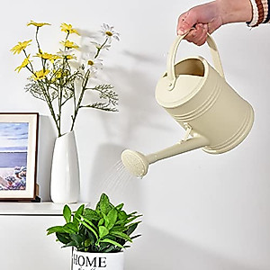 Watering Can for Indoor Plants, Flower Watering Can Outdoor for House Plants Garden Flower, Small Watering Can Indoor Long Spout with Sprinkler Head (1/2 Gallon, Ivory)