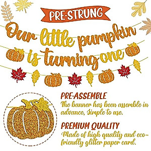 Our Little Pumpkin is turning One Banner 1st Birthday Banner Happy First Birthday Decoration Pumpkin 1s Bday Decor Fall Autumn Thanksgiving Party Event Backdrop Celebration Gold Glitter Supplies for Boys Girls Baby Shower 1st Birthday Party