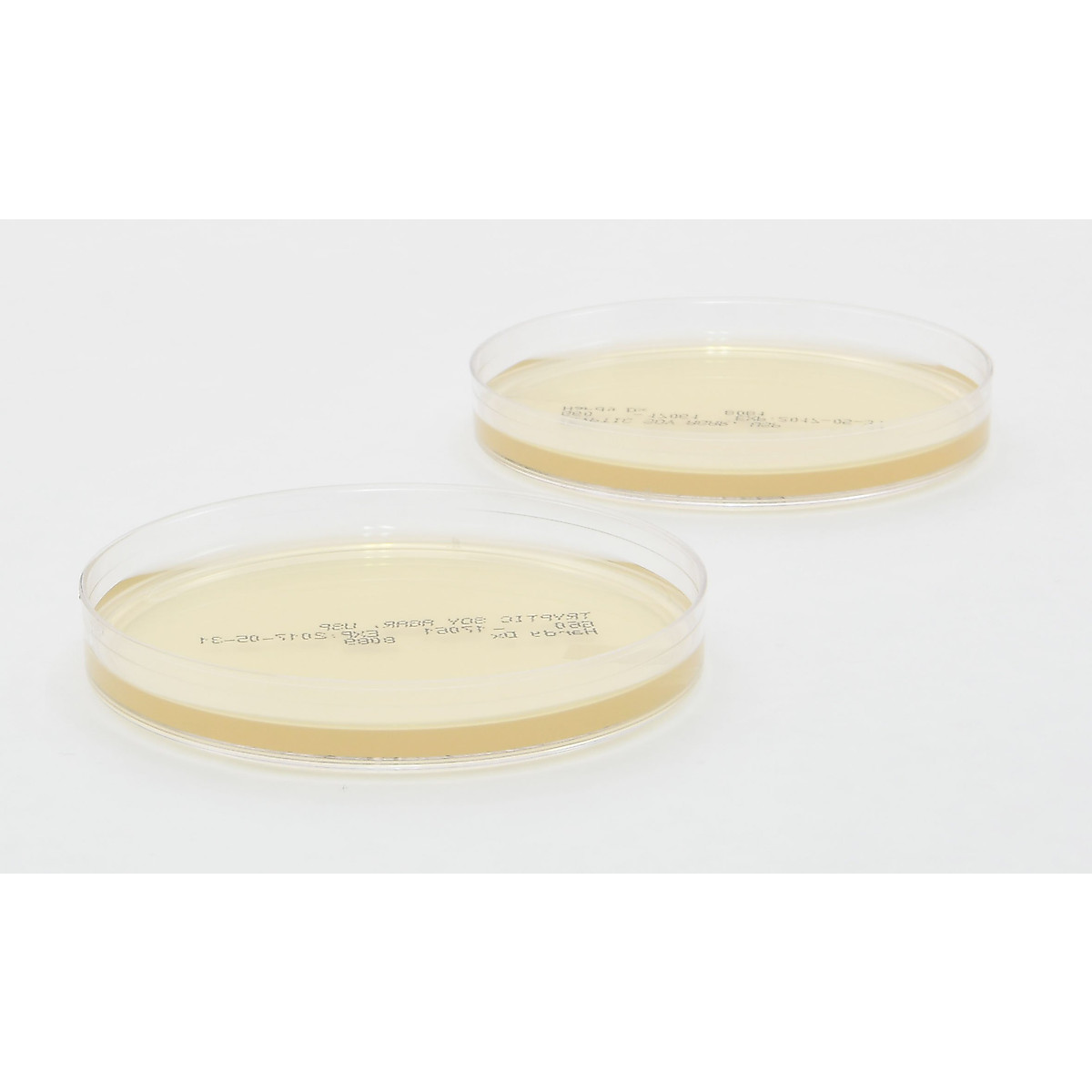 Tryptic Soy Agar (TSA), USP, a General Growth Medium for Microorganisms, 10 Plates Per Pack, by Hardy Diagnostics