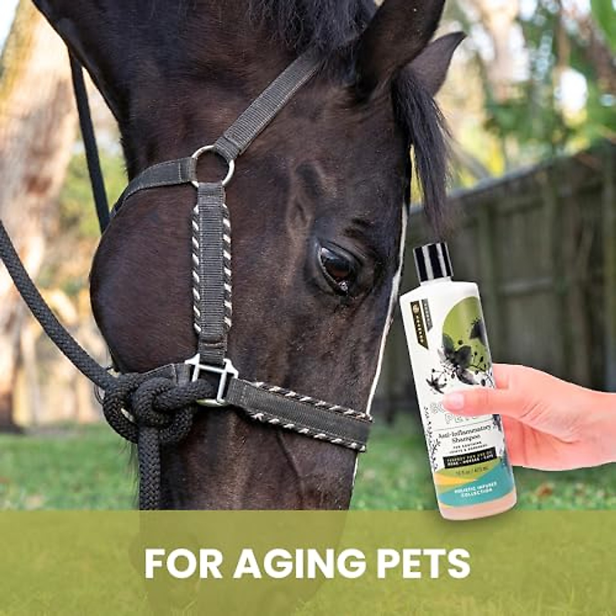 Gou Gou Pets Holistic Natural Derived Joint Inflammation Pet Shampoo: Veterinarian Recommended - Soothing Joint Pain and Soreness for Dogs, Cats and Horses - Made in USA - 16 oz