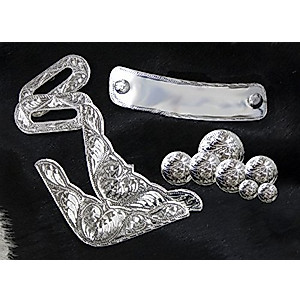 12 Piece Engraved Silver Trim Kit Saddle Silver Set Includes Necessary Hardware for Installation
