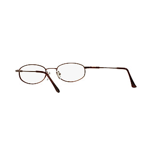 Brooks Brothers Men's BB 491 Oval Prescription Eyewear Frames, Bronze on Black/Demo Lens, 49 mm