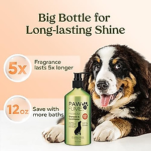 Pawfume Dog Shampoo and Conditioner – Hypoallergenic Dog Shampoo for Smelly Dogs – Best Dog Shampoos & Conditioners – Probiotic Pet Shampoo for Dogs – Best Dog Shampoo for Puppies (Show Dog, 2-Pack)