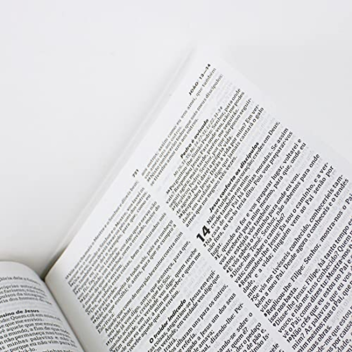 Bíblia Sagrada Almeida Revista e Atualizada: Almeida Revista e Atualizada (ARA)