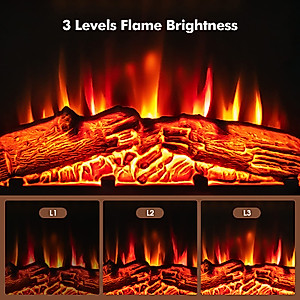 GOFLAME 23” Electric Fireplace Insert, Recessed Fireplace Heater with Remote Control & Touch Screen, Wall Mounted Electric Fireplace with Adjustable Flame Brightness and Timer, Overheating Protection