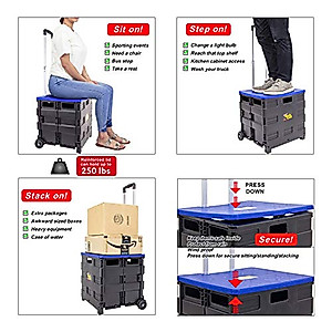 dbest products Quik Cart Collapsible Rolling Crate on Wheels for Teachers Tote Basket, 80 lbs Capacity, Blue Lid Made from Heavy Duty Plastic and used as a Seat