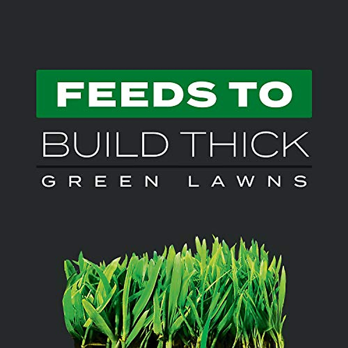 Scotts Turf Builder Triple Action - Weed Killer & Preventer, Lawn Fertilizer, Prevents Crabgrass, Kills Dandelion, Clover, Chickweed & More, Covers up to 4,000 sq. ft., 20 lb.