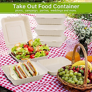 greensight Compostable Take Out Food Container 8X8, 25 Pack Disposable Clamshell Food Containers, Heavy Duty To Go Boxes, Eco-Friendly Biodegradable Made From Sugarcane Fibers