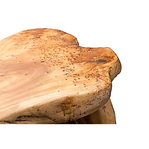 TJ Global Natural Edge Cedar Wood Tree Stump Indoor/Outdoor Stool, Garden Bench, Night Stand, End Table, Plant Stand - L20 x W11 x H17