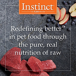 Instinct Raw Boost Grain Free Recipe with Real Beef Natural Dry Dog Food, 4 lb. Bag