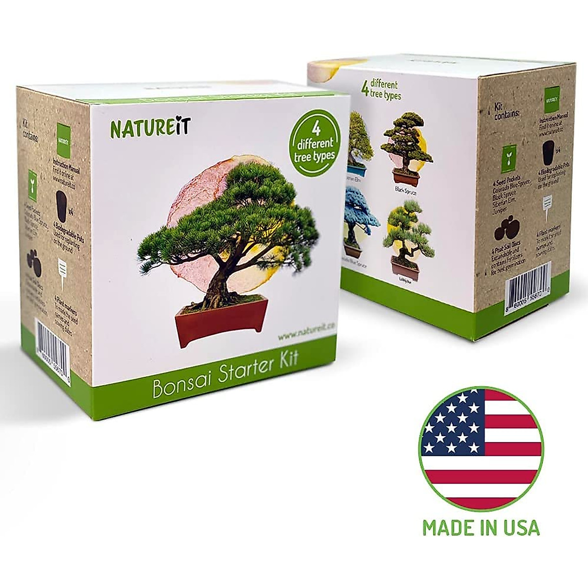 Natureit Bonsai Tree Starter Kit - Grow 4 Bonsai Trees from Seeds. All-in-One Indoor/Outdoor DIY Craft Kits for Adults Men & Women. Christmas Ideas for Plant Lovers or Mom & Dad who has Everything