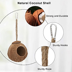 Hypeety Natural Coconut Shell Bird Nest House Hut for Pet Parrot Canary Finch Pigeon Cage Hamster Rat Gerbil Mice Cage Seed Feeder Toy