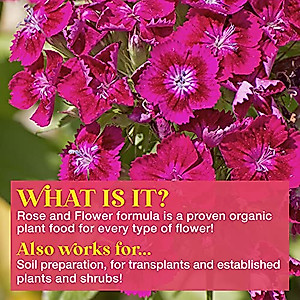 Rose & Flower Natural Plant Food for Prize Winning Blooms in Homes & Gardens by Bloom City, Quart (32 oz)