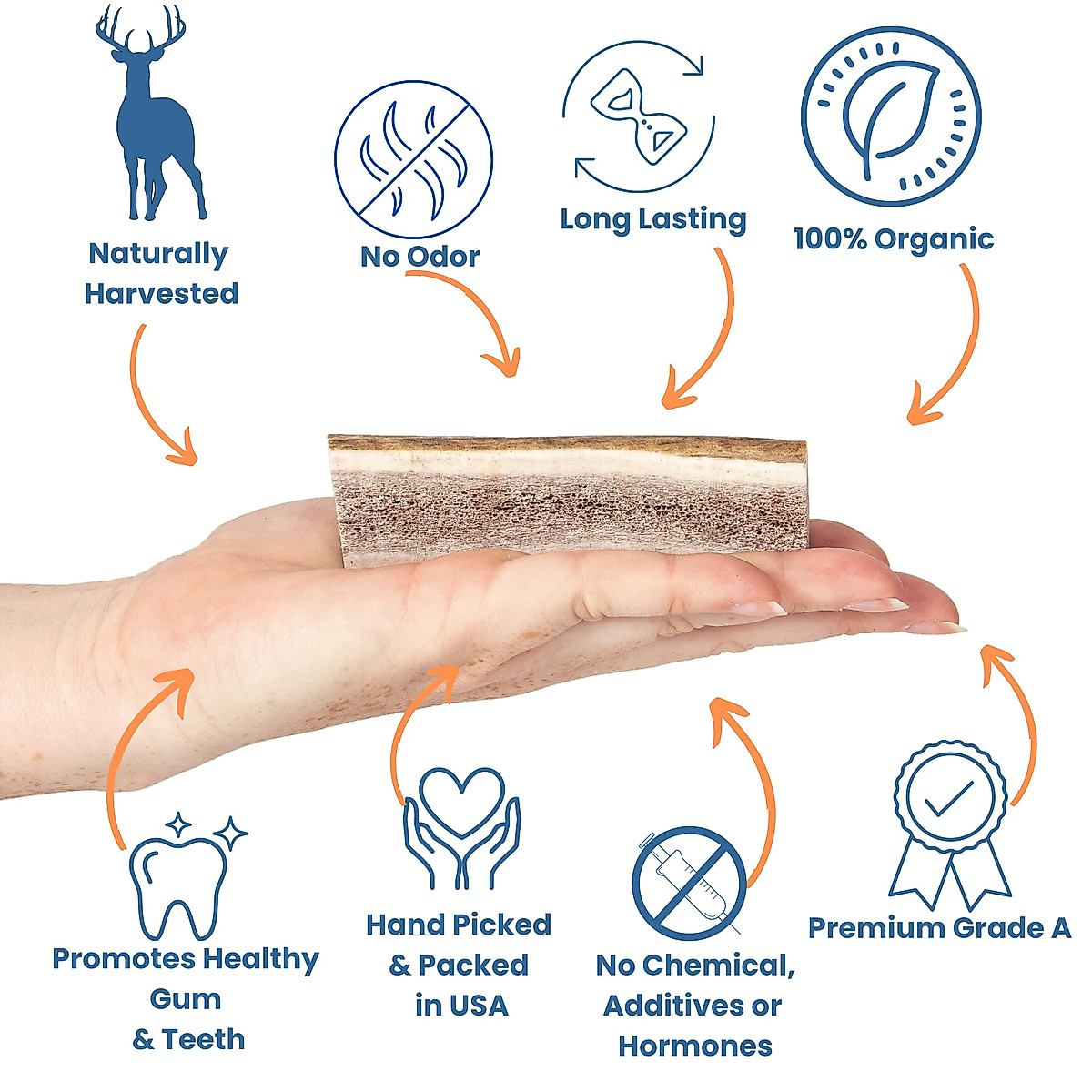 K9warehouse Split Antler for Dogs - Natural Dog Antlers for Aggressive Chewers - USA Sourced Elk Antlers for Dogs Small, Medium, Large - Healthy Elk Antlers for Teeth Cleaning & Chewing Pleasure