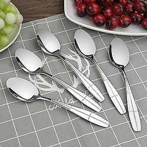 Eagrye Stainless Steel Flatware Dessert Spoons, Set of 12