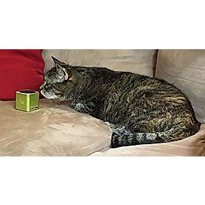 Pet Acoustics Feline Extra Calm Music SD Card