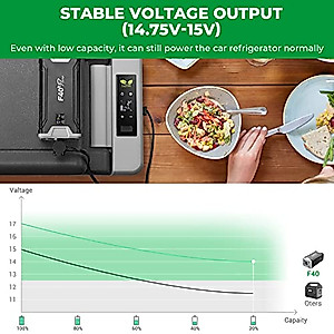 F40C4TMP Bundle - 2 items 58 Quart Portable Refrigerator and 220Wh Portable Power Station
