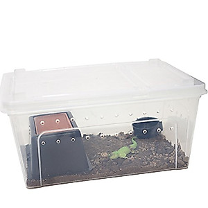 OMEM Portable Reptile Terrarium Habitat for Mini Pet Houses (L)