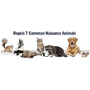 Havahart 3142 Critter Ridder Animal Repellent Granular Shaker, 2-Pound