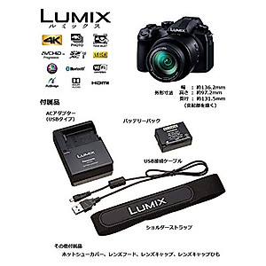 Panasonic Lumix 1.0-inch Sensor Mounted Optical 16x Zoom 4K Video corresponding DC-FZ1000M2?Japan Import