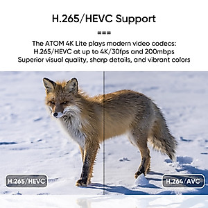 NEUMI Atom 4K Lite Ultra-HD Digital Media Player with Motion Sensor and Push Button Trigger Bundle, Plays 4K/UHD Videos from USB Drives and SD Cards, HEVC/H.265, HDMI, Automatic Playback and Looping