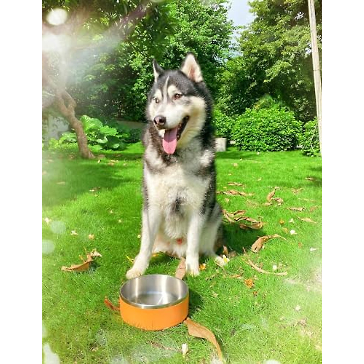 IKITCHEN Dog Bowl for Food and Water, 64 Oz Stainless Steel Pet Feeding Bowl, Durable Non-Skid Double Wall Insulated Heavy Duty with Rubber Bottom for Medium Large Dogs (64 Ounces/8 Cup, Orange)