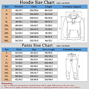 Ufehaho Lion King 3D Printed Men's Hoodies Sweater Set Pullover Tracksuit for Big and Tall 2 Piece Sweatshirt Suit