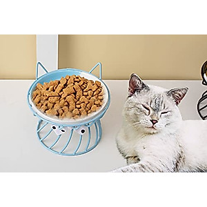 Raised Cat Food Bowl ,Elevated Cat Feeder Bowl Stand, Food & Water Cat Bowl, Shallow Ceramic Cat Dish, Whisker Friendly No Spill Water Bowl for Cats