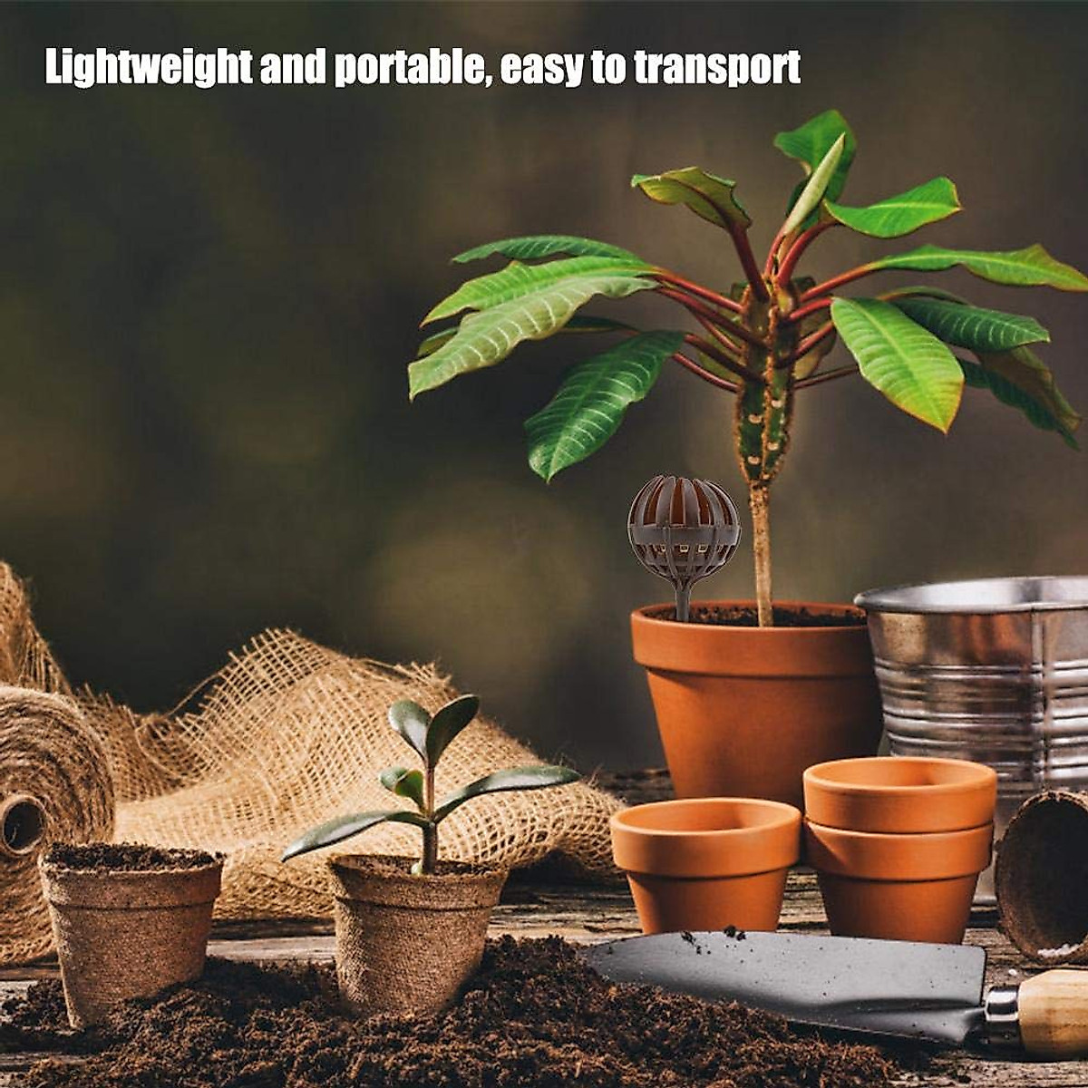 100pcs/ Set Fertilizer Cover Box Basket ABS Material Reusable Portable Safe for Bonsai Plant Flower Orchid Small Plant (Big)