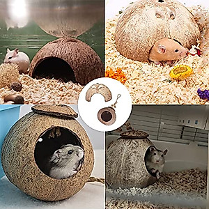 PINVNBY Coconut Hut Hamster Hiding House Hanging Coconut Shells Pet Cave Hideout Small Animal Cage Habitat Decor for Gerbils Rats Mice Dwarf Syrian Hamster Playing & Resting (6 PCS) 