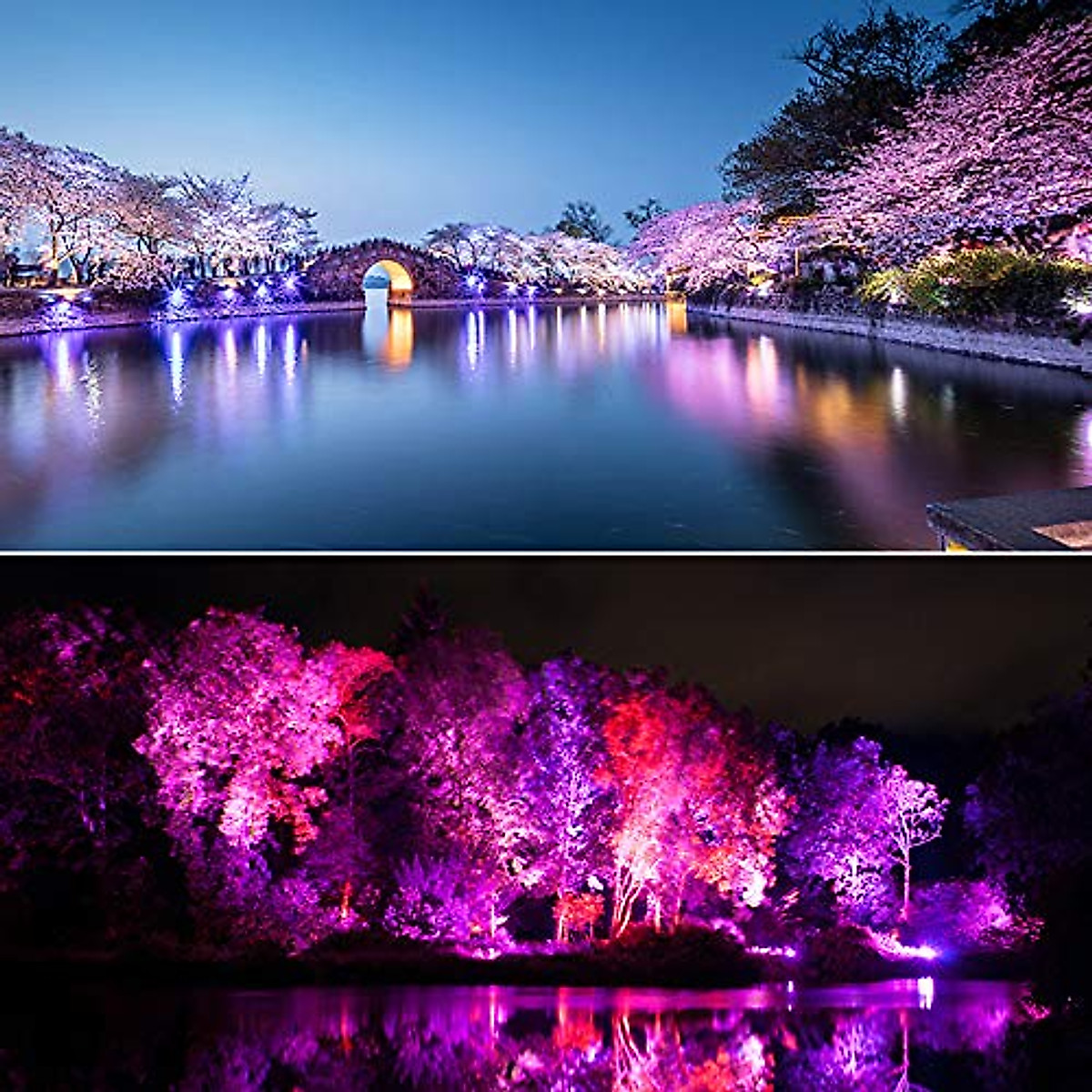 F-TECK Solar Spotlights, 2-in-1 Colored Adjustable 4 LED Wall/Ground Landscape Solar Lights with Automatic On/Off Sensor Dusk to Dawn, 2 Pack