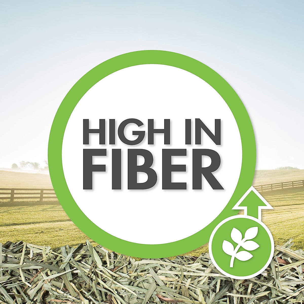 Vitakraft Small Animal Timothy Hay for Guinea Pigs, Rabbits, and Chinchillas - 1.75 lbs