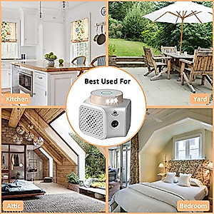 Careland Plug in Ultrasonic Rodent Repellent Indoor Squirrel Mouse Repeller Rat Deterrent with Ultrasound Waves and LED Strobe Lights