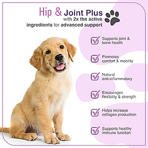 Dr. Richard's Hip & Joint Plus for Dogs - Soft Chew Supplement with Natural Perna Mussel, Glucosamine, Chondroitin, MSM. Supports Hip & Joints, Improves Nutrient Absorption, Vitamin C Antioxidants
