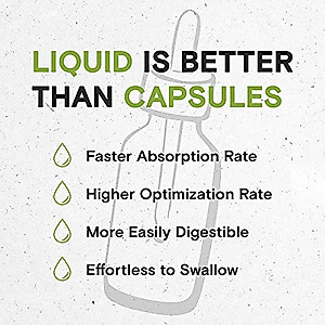 Secrets of the Tribe OSHA Tincture Alcohol-Free Extract, High-Potency Herbal Drops, Tincture Made from Responsibly farmed OSHA Ligusticum porteri Respiratory System Health 2 oz